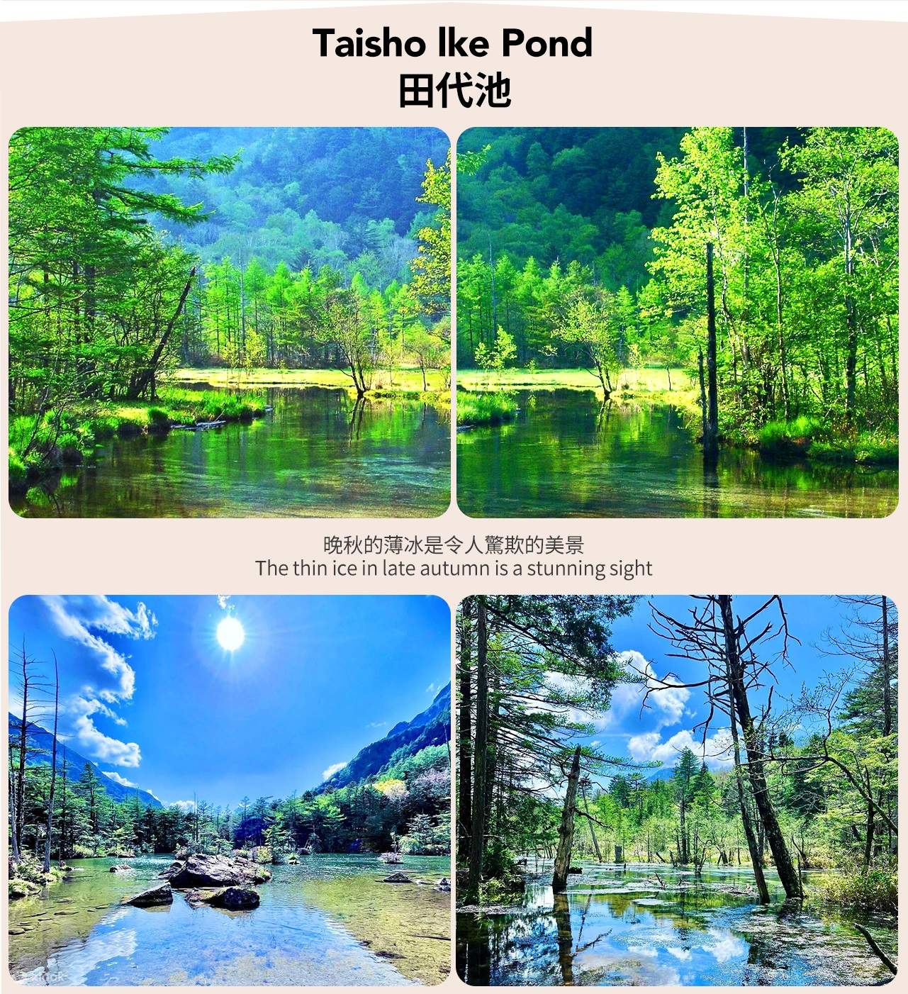 [Nagoya Kamikochi Hiking Tour] One-Day Nature Forest Hiking Tour of ...